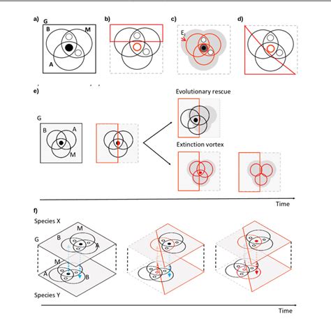 2 eco evolutionary processes happening at the individual population