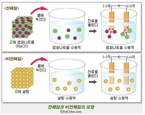 전해질이란 네이버 블로그