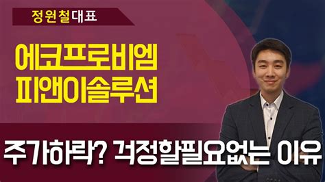 에코프로비엠피앤이솔루션주가하락 걱정할필요없는 이유 Youtube