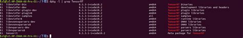 Ubuntu安装tensorrt 知乎