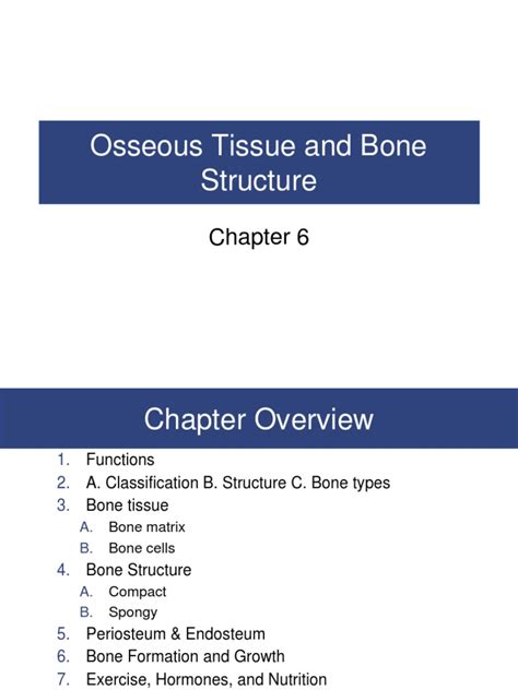 Chapter 6 Osseous Tissue And Skeletal Structure Download Free Pdf