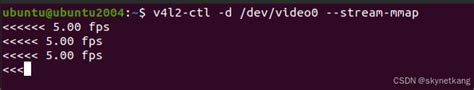 Linux V4l2框架介绍 Csdn博客