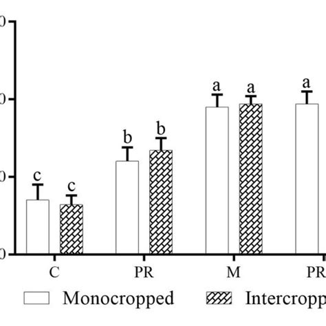 Effect Of The Intercropping System And Inoculation With Rhizobacteria Download Scientific