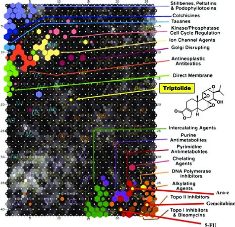 Triptolide Has A Unique Antiproliferative Profile In The Nci 60 Panel