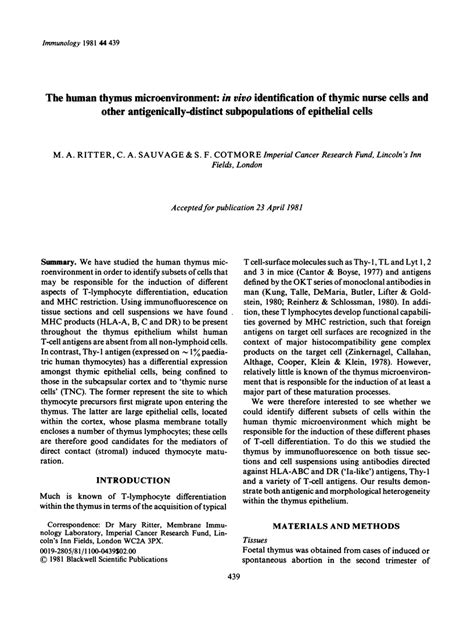 The Human Thymus Microenvironment In Vivo Identification Of Thymic