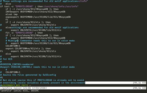 Text Garbled Unable To Use Vi With Cmder Or Bash As Cygwin Or Xterm