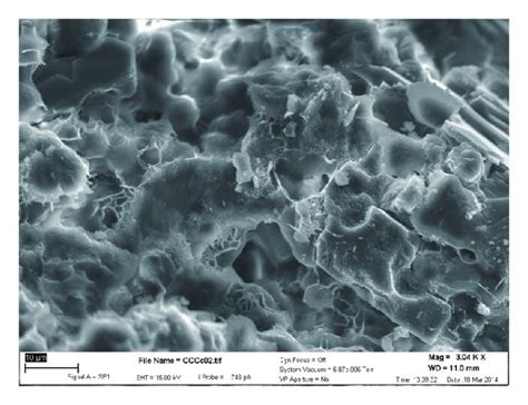 A~c The Morphology Of 7 Day Hydrated C3s In Presence Of Cacl2