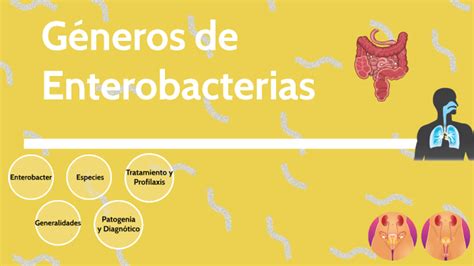 Enterobacterias By Rushelly Sánchez Martínez On Prezi