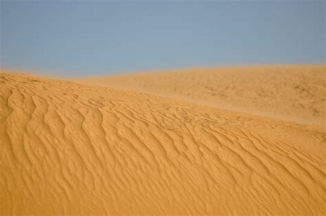 รูปภาพoasi เลือกดูภาพถ่ายสต็อก เวกเตอร์ และวิดีโอ6302 Adobe Stock