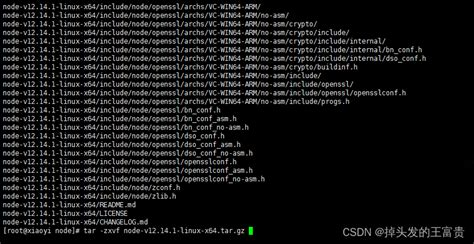 linux安装node js（图文解说详细版） 阿里云开发者社区