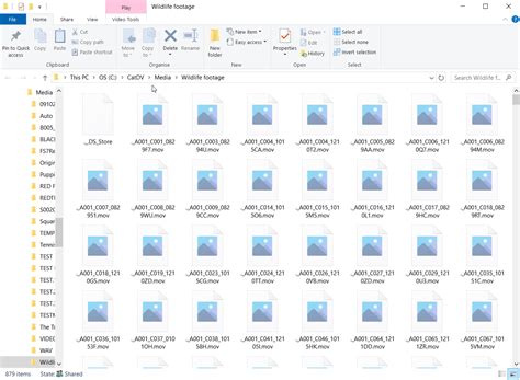 Additional Disk Tool Options