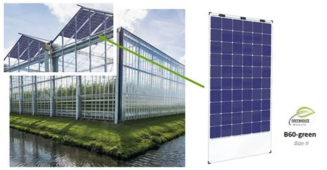 Vertical Agrivoltaic Project Takes Shape In France Artofit