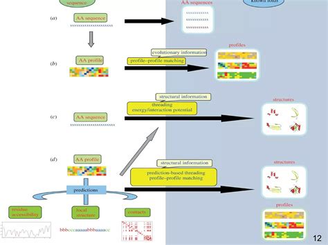 Methods For Protein Structure Prediction Ppt Chemistry Science