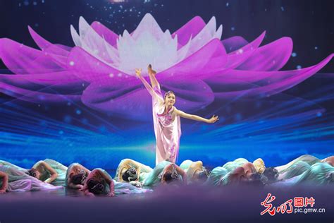 江苏金湖：以荷为媒助力乡村振兴 光明网