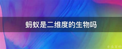 蚂蚁是二维度的生物吗 业百科