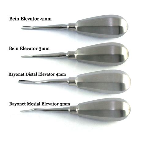Dental Root Elevators Oral Surgery Pdl Luxating Bayonet Distal Bein