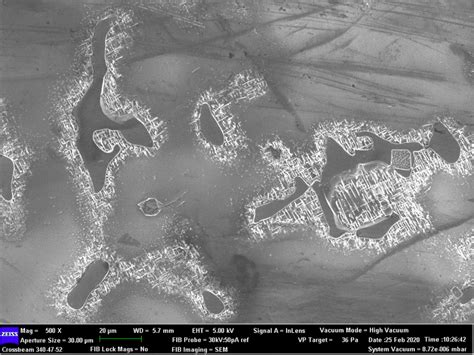 Fesem Image Of Az91 Alloy After Homogenization At 350 O C For 10h