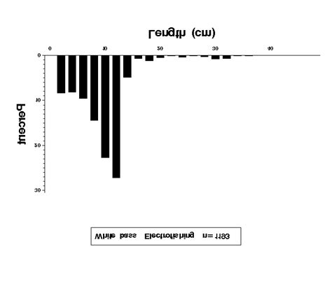 10 Length Distributions Length As A Percentage Of Catch Percent