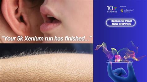 Millennium Science On Linkedin So Good You Can Feel It 10x Genomics