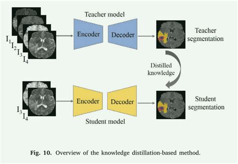 【论文阅读笔记】a literature survey of mr based brain tumor segmentation with
