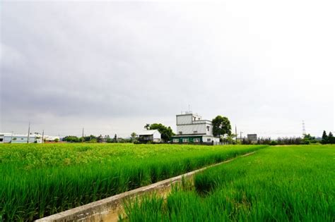 稻米體驗區 桃園新屋活力健康農場