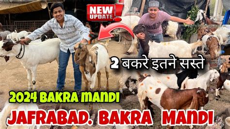 Jafrabad Bakra Mandi 2024 Letest Video सबससस्ते बकरे Jafrabad Bakra