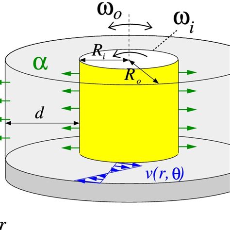 Schematics Of The Taylorcouette System Illustrating Radial Flow In A Download Scientific