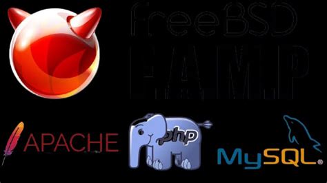 Running Web Server Database Server In FreeBSD Jail