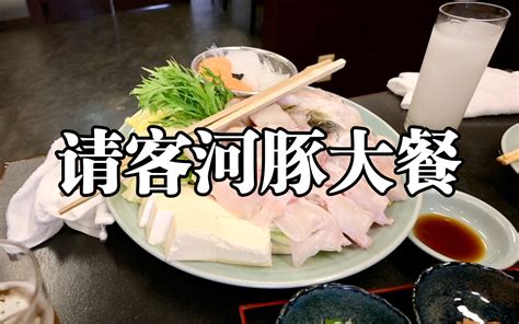 省钱区up居然花大手笔请吃河豚料理其背后的原因令人暖心 PI21NC3 PI21NC3 哔哩哔哩视频