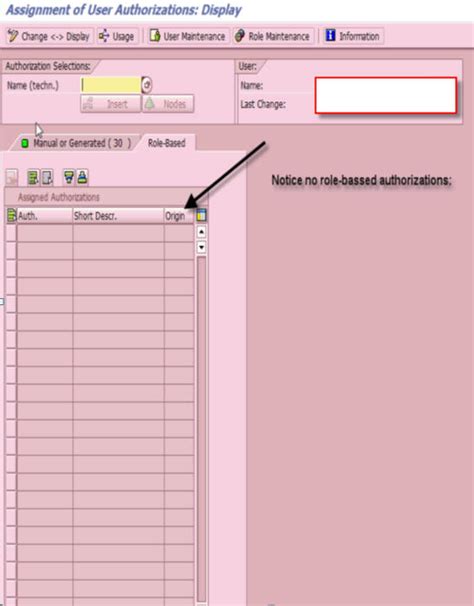 User Authorization Issue Sap Community