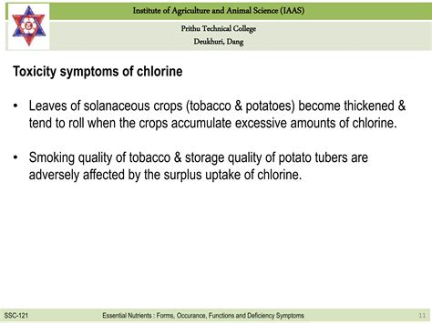 Functions And Deficiency Symptoms Of Copper And Chlorine In Plants Pptx