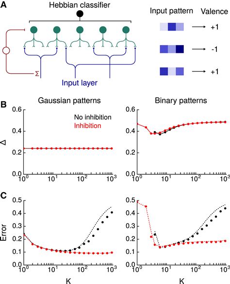 Optimal Degrees Of Synaptic Connectivity Neuron