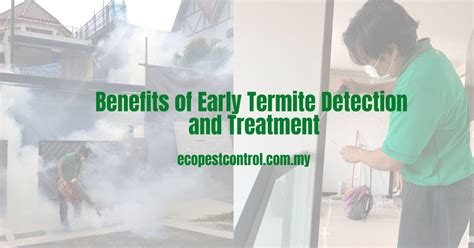 Benefits Of Early Termite Detection And Treatment [2025]