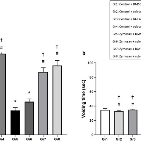 Bladder Compliance A And Voiding Times B During Cystometry A To Download Scientific