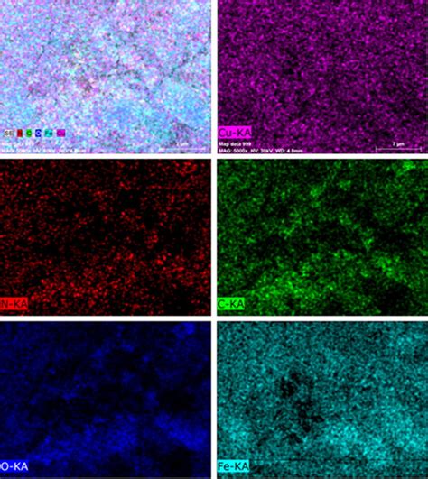 Eds Elemental Mapping Of The Fe3o4 Dopa Cunps Download Scientific Diagram