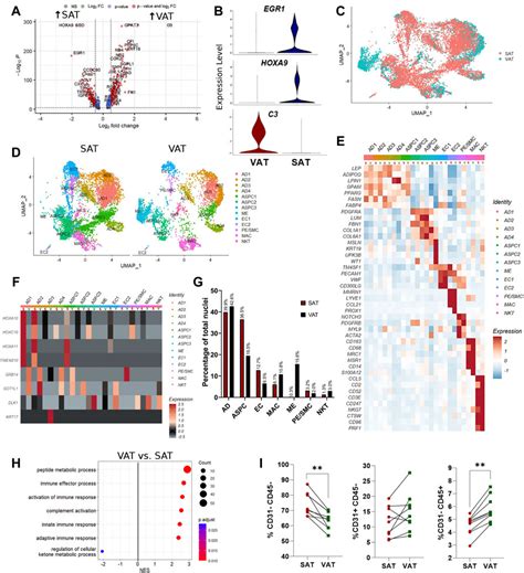 Frontiers Single Nuclei Analysis Reveals Depot Specific