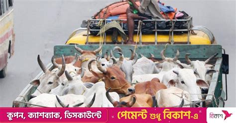 অনলাইন গরুর হাটেও থাকবে পুলিশের নজরদারি
