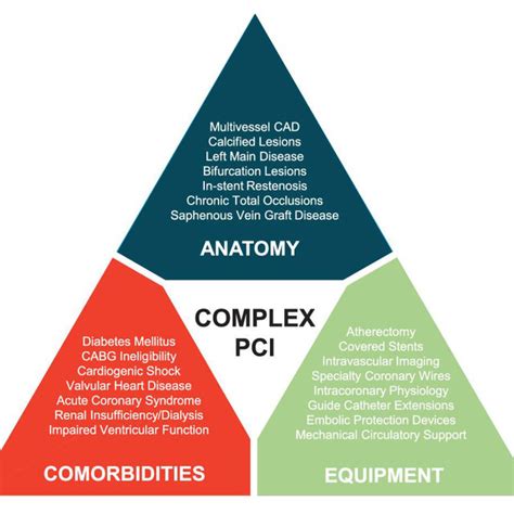 Scai Expert Consensus Domains Of Complex Pci Consisting Of A Mixture