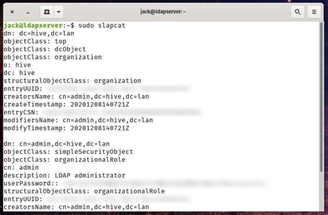 how to install openldap and phpldapadmin on ubuntu server 20 04