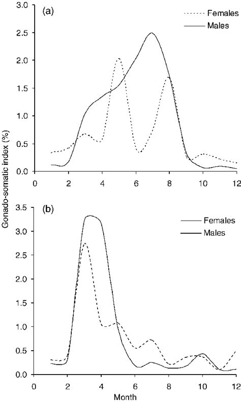 Mean Monthly Gonado Somatic Indices For A C Bajad N 359 And B Download Scientific