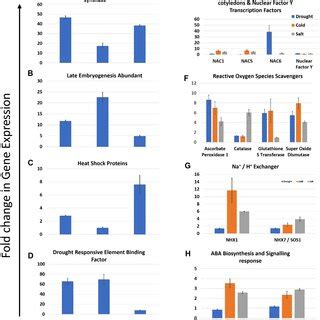 Quantitative Real Time QRT PCR Expression Of Different Genes In Leaf