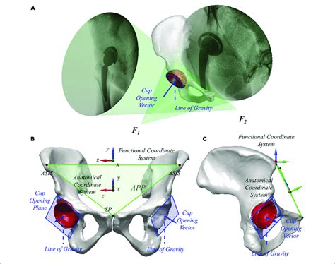a virtual environment of dual fluoroscopic imaging system dfis