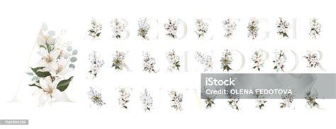 꽃 알파벳입니다 흰색 식물원 꽃 가지 꽃다발 구성이있는 편지 청첩장 생일 벡터 그림입니다 새긴 이미지에 대한 스톡 벡터 아트 및 기타 이미지 Istock