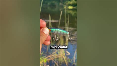 Как поймать ЖЕРЕХА НА СТИКИ стикбейты #fishing #жерех #рыбалка # ...