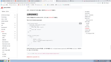 Request Help Control API For Go Plugin Issue 98 Apache Apisix Go