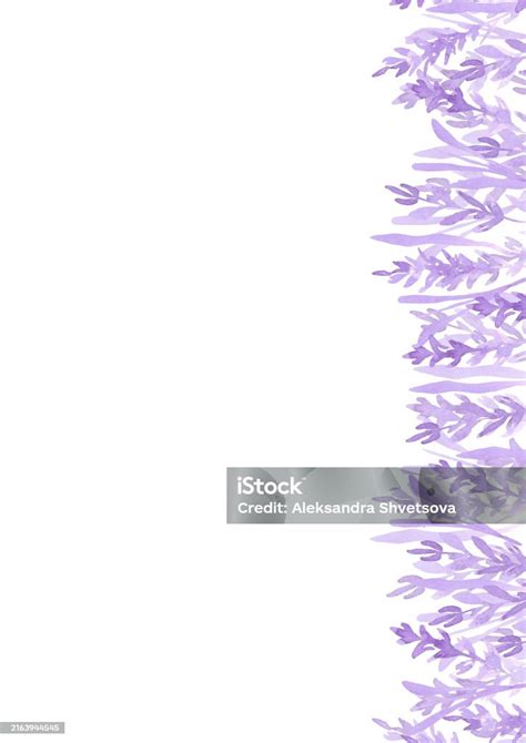 손으로 그린 수채화 라벤더 야생화 프레임 테두리는 흰색 배경에 고립되어 있습니다 책 표지 초대장 포스터 및 기타 인쇄 제품에 사용할 수 있습니다 0명에 대한 스톡 벡터 아트