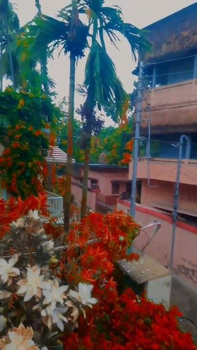 Barsat Ke Din Aaye 🌧️🌧️ Youtube