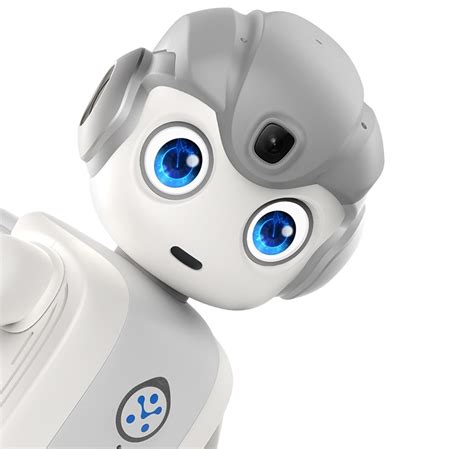Alpha Mini Robot Ai Dành Cho Giáo Dục K12