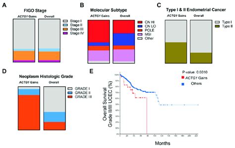 Distribution Of ACTG1 Gains In Uterine Corpus Endometrial Carcinoma Download Scientific Diagram