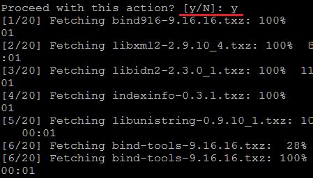 跟小編一起學 FreeBSD 透過pkg安裝應用軟體 點情報網